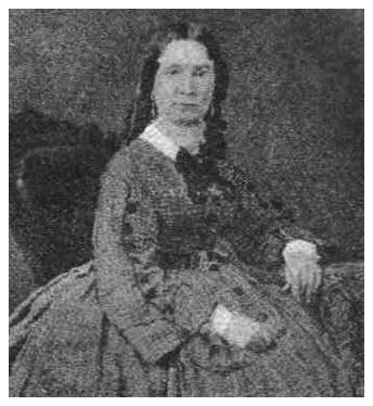 Truth Seeker | The Truth Seeker Company